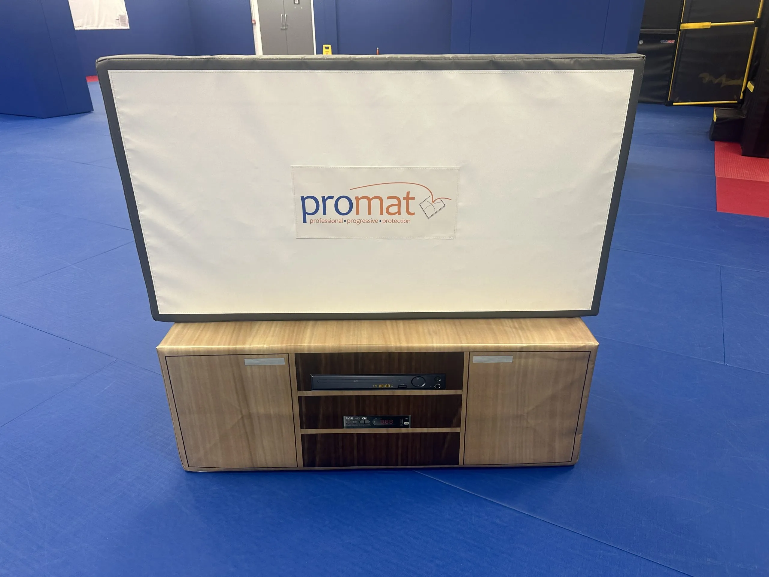 Promat-Force - Foam TV Screen & TV Stand - Padded Rooms - Foams4Sports